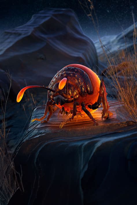 Translucent Bug On Behance