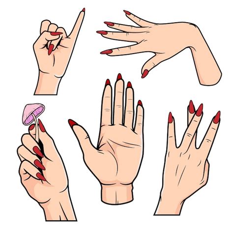 Premium Vector Set Of Woman Hands Pose