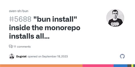Bun Install Inside The Monorepo Installs All Nodemodules From