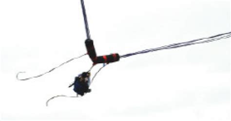 테딘패밀리워터파크 텐트트레일러장·익스트림스포츠번지샷 오픈