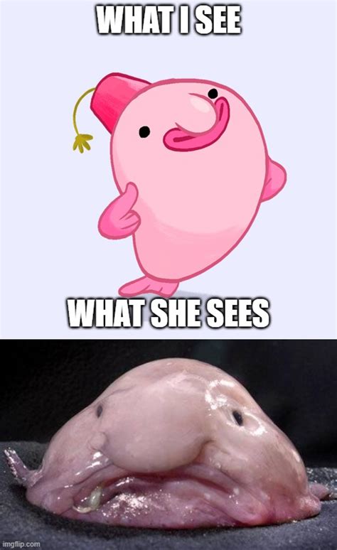 Blobfish Meme Generator