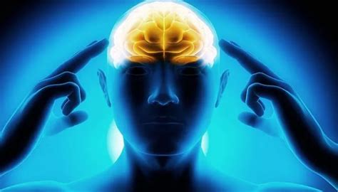 집중력 높이는 방법 Top 12