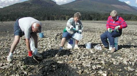 Shellfish Harvest Wow