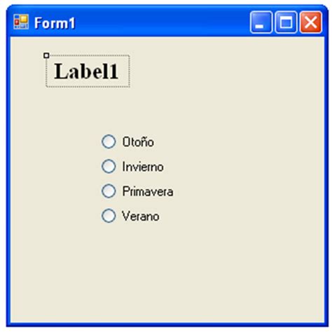 VISUAL NET Control RadioButton