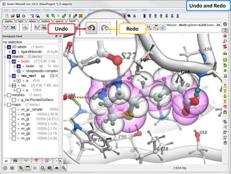 Icm Users Guide Edit Ligand