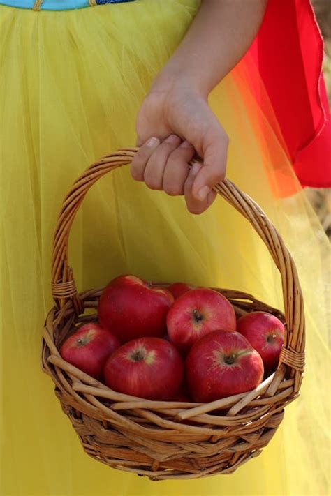과일 머그 문학 바구니 사과 수직 쐈어 음식 책 페이지 휴식에 관한 무료 스톡 사진