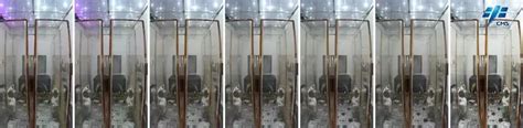 中国空间站问天实验舱中拟南芥种子和水稻种子已成功萌发 目前长势良好 智慧农业 农博士农先锋网