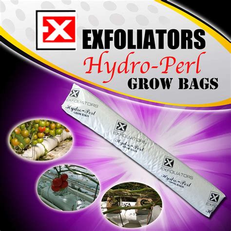 Exfoliators Perlite At Stephanie Post Blog