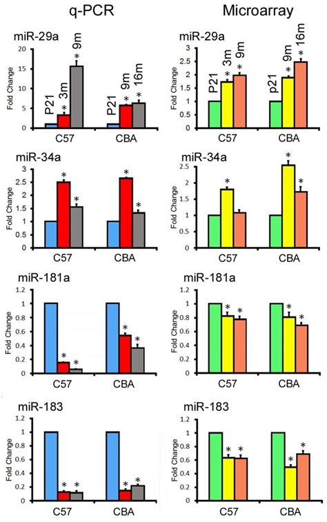 Asterisks Indicate Statistically Significant Differences P Download