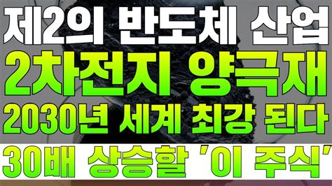 2차전지 양극재 관련주 대장주 2030년 30배 상승할 이 주식 Youtube