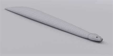 Animated Burmese Python Superhive Formerly Blender Market