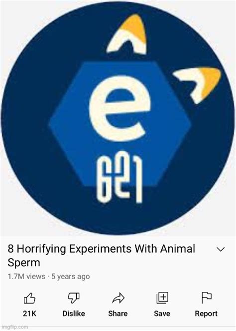 Image Tagged In E621 Net Imgflip