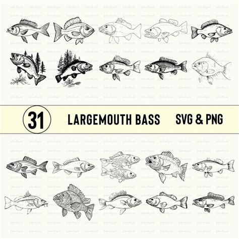 Largemouth Bass Svg Png Largemouth Bass Clipart Largemouth Bass