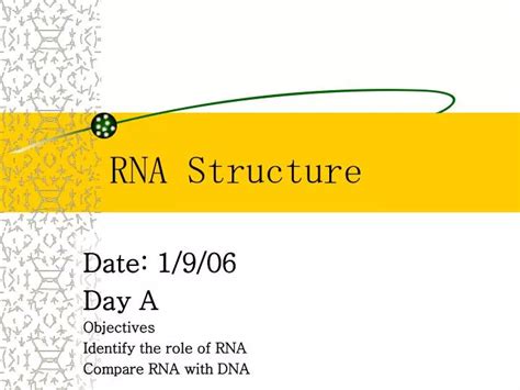 PPT RNA Structure PowerPoint Presentation Free Download ID 4287130