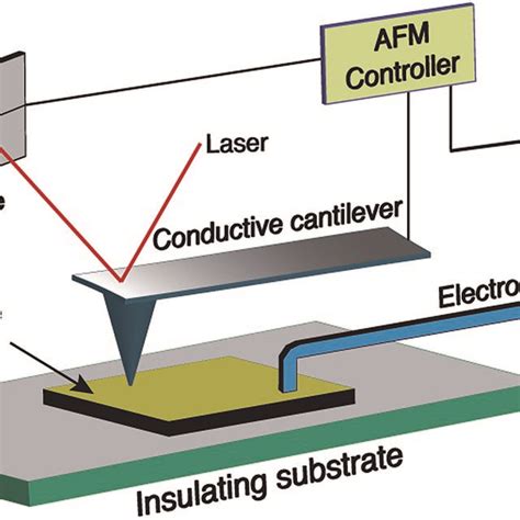 Geometry Of The Current Sensing Atomic Force Microscopy Cs Afm Download Scientific Diagram