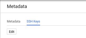 Google Cloud Platform VyOS 1 5 X Circinus Documentation