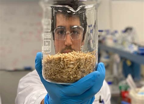 Renewable Hydrogen Tech That Turns Biomass Into Green Molecules Wins