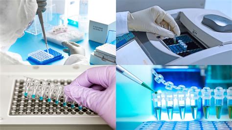 Recombinant Dna Rdna Technology A Deep Dive Scieduca