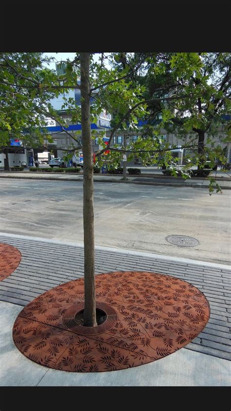 Tree Grate Ideas Progettazione Giardino Di Casa Architettura Paesaggistica Progettazione Di