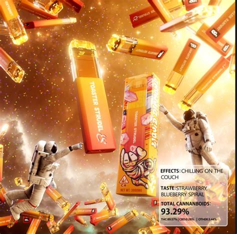 Toaster Strudel By Favorites Official