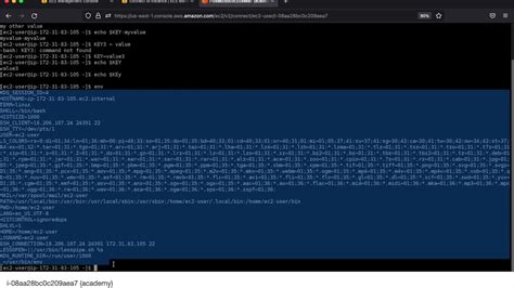Episode 6 All About Environment And Shell Variables In Linux Youtube