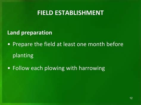 Cucumber Pptx Gardening Home And Garden Cucumber Pptx Gardening Home And Garden