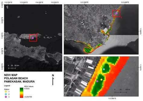 Map Of Mangrove Density Level Download Scientific Diagram