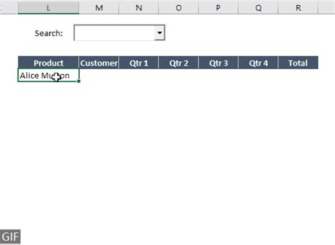 Create A Search Box In Excel A Step By Step Guide
