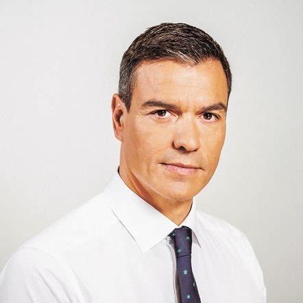 Currículum Vitae De Pedro Sánchez Biografía Completa