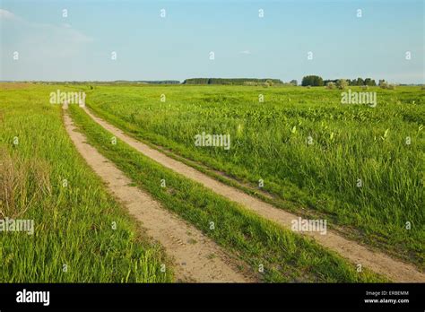 Field With Path Stock Photo Alamy
