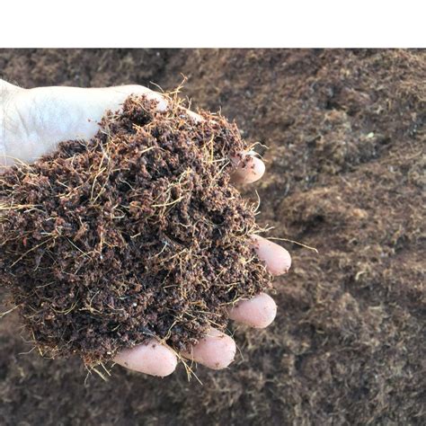 Cocco Agraria Castellare