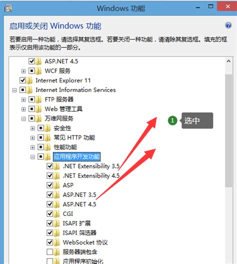 Aspnet网站应用（图文教程）