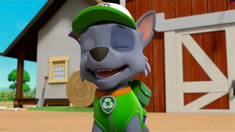 Rocky Gallery Pups Save The Honey Paw Patrol Wiki Fandom Paw