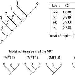 Sample Case Of The Positional Congruence Measure PC In This Example