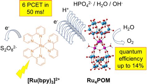 Sequential Proton Coupled Electron Transfer Events From A Tetraruthenium Polyoxometalate In