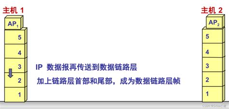 网络协议与层次划分：探索计算机网络体系结构复用分用 分段重装 Csdn博客