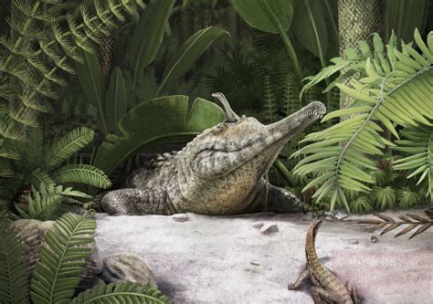 Phytosuars Were Crocodile Mimics Naturewasmetal
