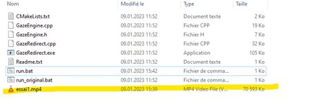 using gaze redirect after recording maxine nvidia developer forums