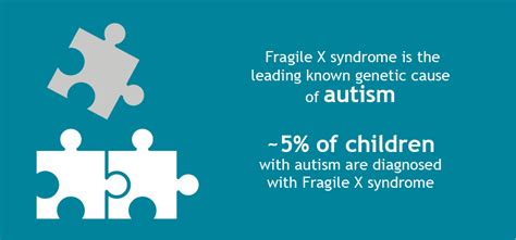 Fragile X Syndrome Resources For Prospective Parents Asuragen