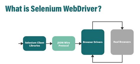 jyoti singh on linkedin seleniumwebdriver automationtesting softwaretesting testautomation…