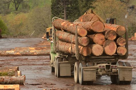 Details On Possible Liverpool Pulp Mill Expected In March Ckbw