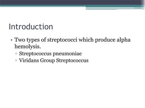 Streptococcus Species Pptx