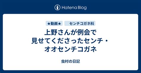 上野さんが例会で見せてくださったセンチオオセンチコガネ 虫村の日記