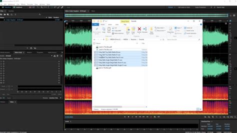 Adobe Audition Edit And Mix Professional Grade Audio Appsumo