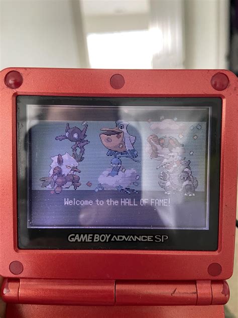 Team From My Most Recent Play Through R Pokemonemerald