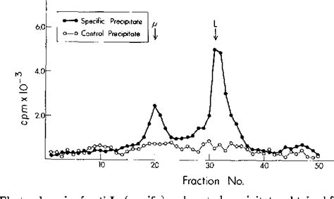 Figure 1 From Cell Surface Immunoglobulin Semantic Scholar