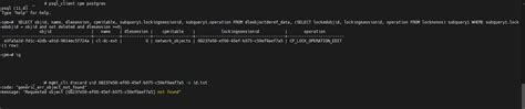 The Cluster Object Is Locked Check Point Checkmates