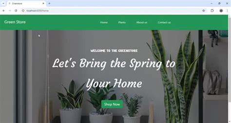 How I Used Angular For E Commerce Project Mahmoud Abdelghany Posted