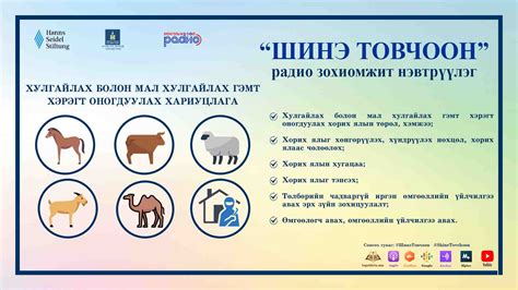 ШинэТовчоон №04 Хулгайлах болон мал хулгайлах гэмт хэргийн талаар