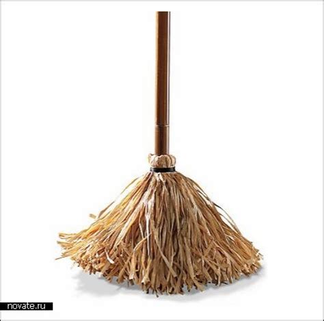 Почти живая метелка «Broomba»